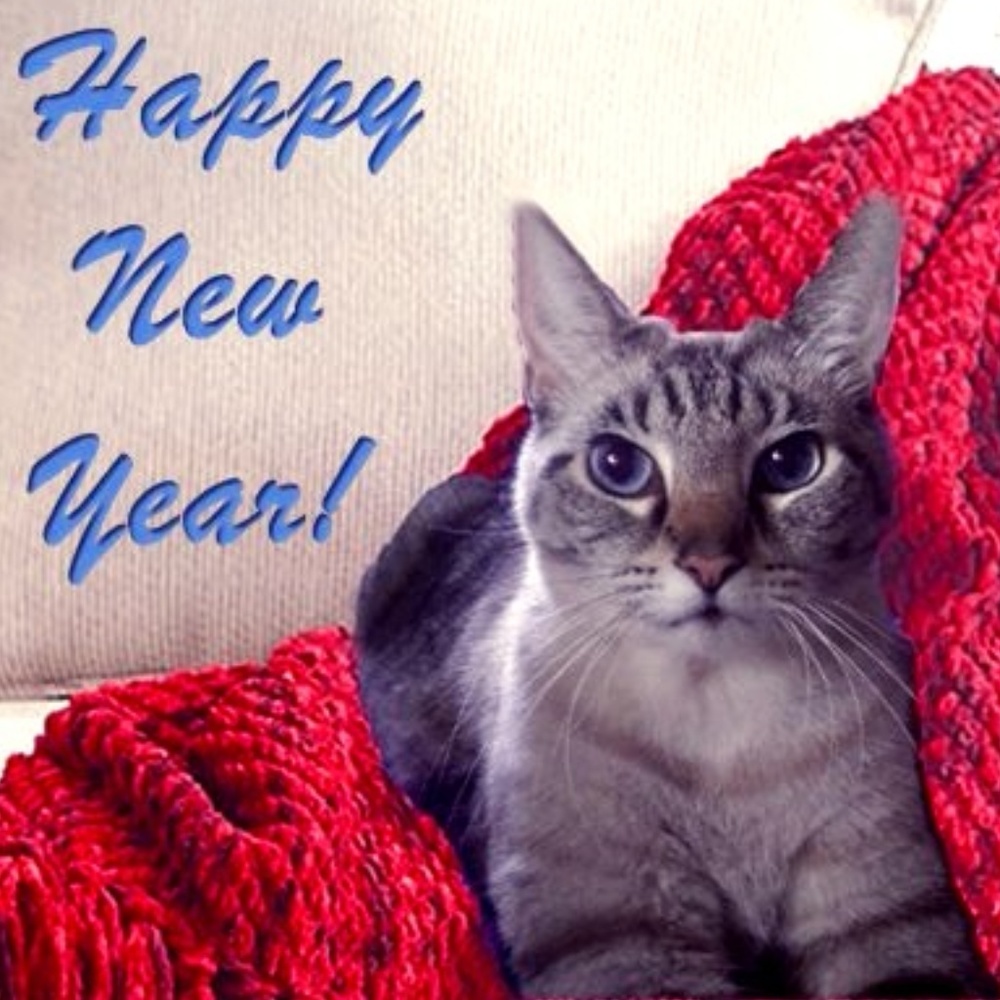 Happy 2019 - Gem